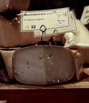 Garrotxa cheese Facts for Kids