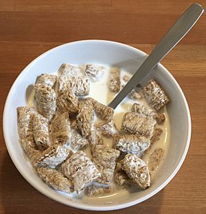 Frosted Mini-Wheats Facts for Kids
