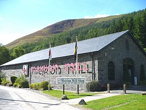 Meirion Mill Facts for Kids