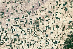 Reese, Michigan Facts for Kids