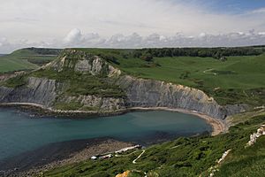 Chapman's Pool Facts for Kids