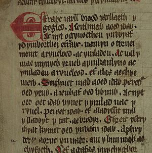Peredur Facts for Kids