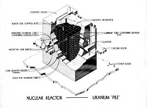 X-10 Graphite Reactor Facts for Kids