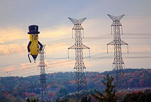 Planters Facts for Kids