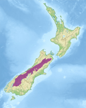 Southland montane grasslands Facts for Kids