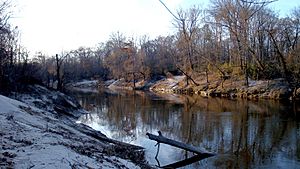 Pearl River (Mississippi–Louisiana) Facts for Kids