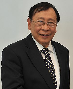 Alberto Romulo Facts for Kids