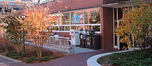 Junior's Grill Facts for Kids