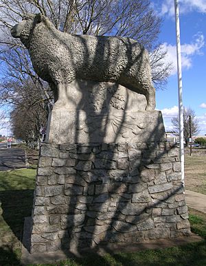 Guyra, New South Wales Facts for Kids