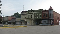 Newman, Illinois Facts for Kids