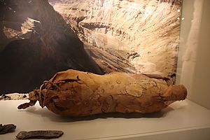 Waterskin Facts for Kids