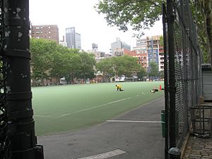 Chelsea Park Facts for Kids