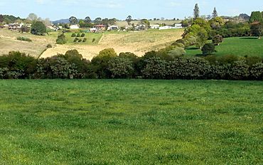 Comboyne, New South Wales Facts for Kids