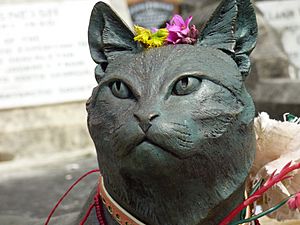 Mrs Chippy Facts for Kids