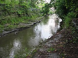 Samuel Brady Facts for Kids