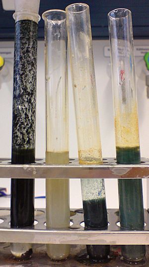 Iron(II) hydroxide for Kids