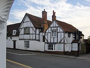 Leatherhead Facts for Kids