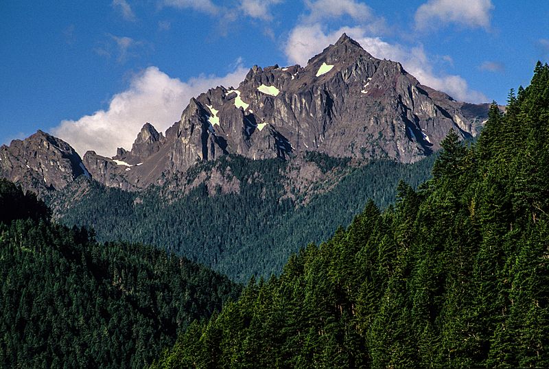 Image: Olympic mountain range, Olympic National Forest (35681711973)