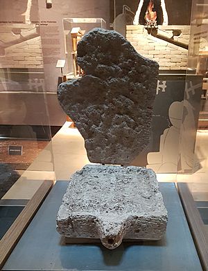 Olive oil extraction Facts for Kids