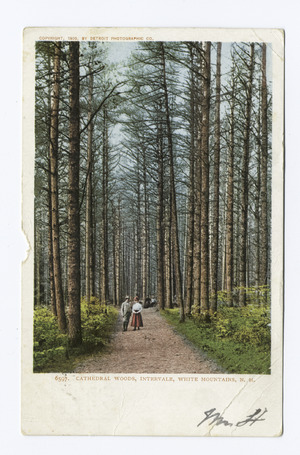 Intervale, New Hampshire Facts for Kids