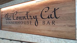 The Country Cat Facts for Kids