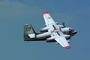 Conair Firecat Facts for Kids