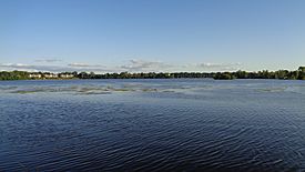 Ford Lake (Michigan) Facts for Kids