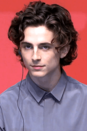 Timothée Chalamet Facts for Kids