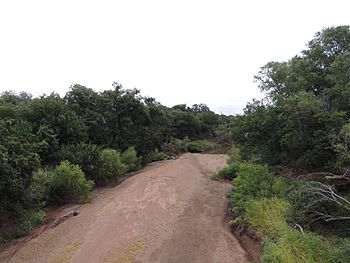 Cache Creek (Oklahoma) Facts for Kids