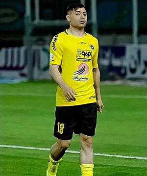 Mohammad Ebrahimi (footballer, born 1984) Facts for Kids
