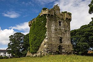 Shrule Castle Facts for Kids