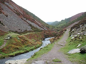 River Heddon Facts for Kids