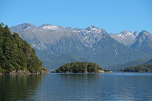 Lake Manapouri Facts for Kids