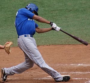 Kevin Howard Facts for Kids