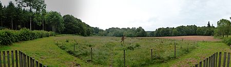 Yonne (river) Facts for Kids