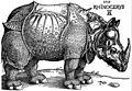 Albrecht Dürer Facts for Kids