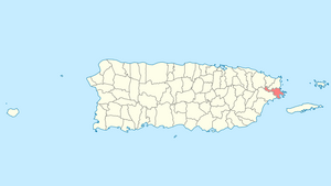 Ceiba, Puerto Rico Facts for Kids