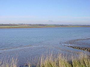 River Crouch Facts for Kids