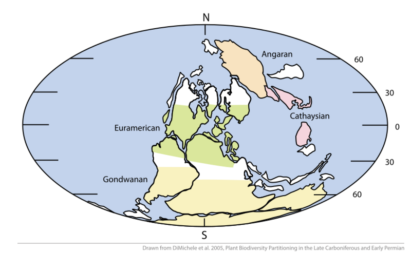 Image: The World of the Carboniferous-Permian boundary
