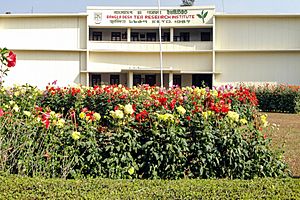 Bangladesh Tea Research Institute Facts for Kids
