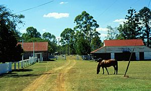 Taromeo Station Facts for Kids