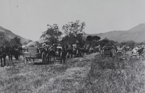 Cupeño Facts for Kids