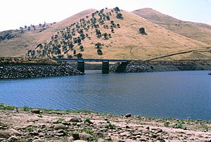 Lake Success (California) for Kids