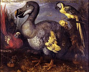 Dodo Facts for Kids