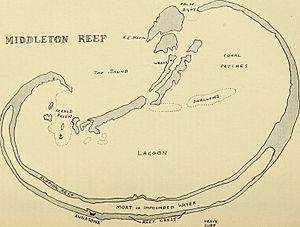 Middleton Reef Facts for Kids