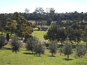Bardwell Valley, New South Wales Facts for Kids