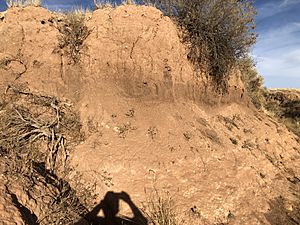Garnsey kill site Facts for Kids