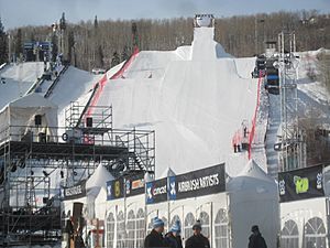 Snowboarding Facts for Kids