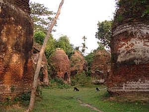 Jessore District Facts for Kids