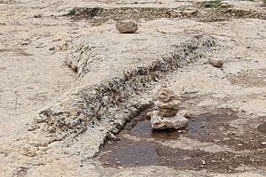 Stone of Jacob Facts for Kids